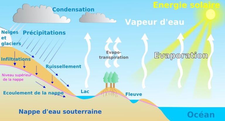 Les Différents Types de Nuages : Un Phénomène Météo Fascinant