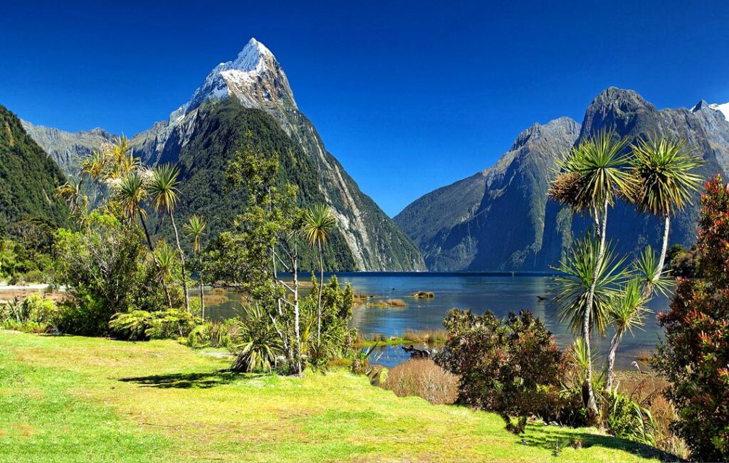 Top des 12 plus Beaux Parcs Nationaux du Monde | L'Odyssée de la Terre