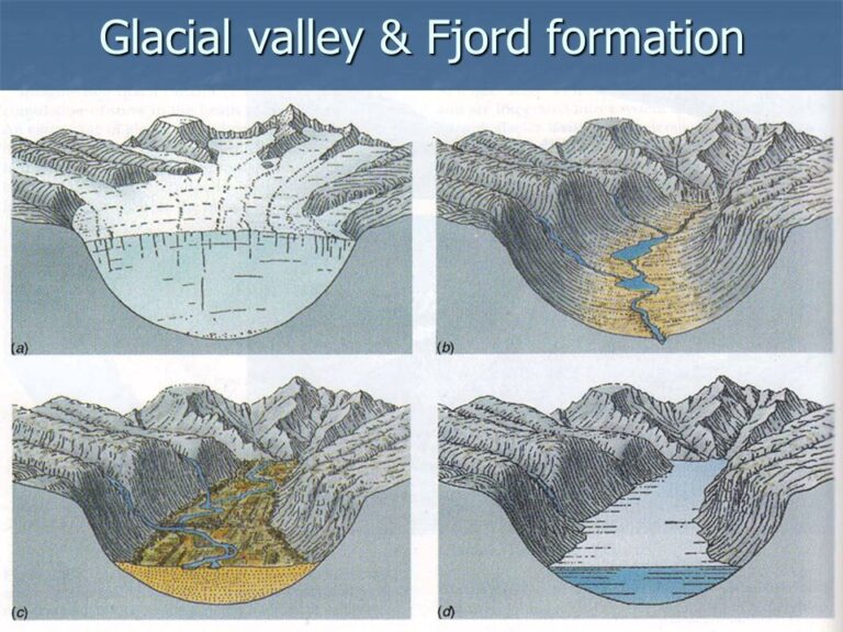 Qu'est-ce qu'un fjord ? | L'Odyssée de la Terre