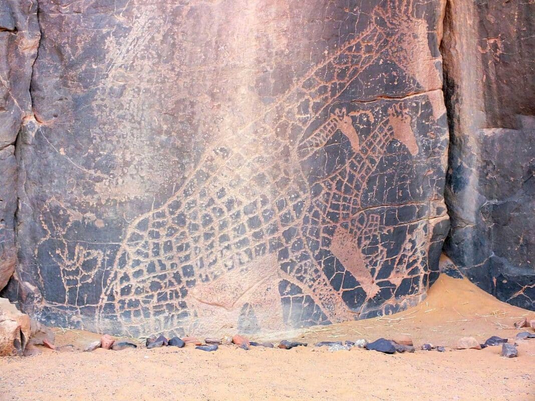 Tassili N'Ajjer : un Trésor Culturel à Découvrir | L'Odyssée de la Terre