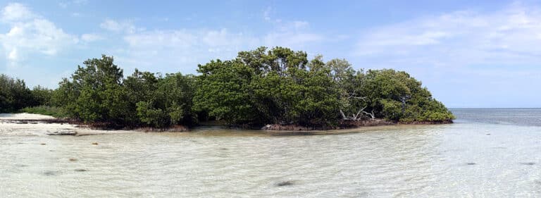 Qu'est-ce qu'un Atoll : Comprendre Leur Formation