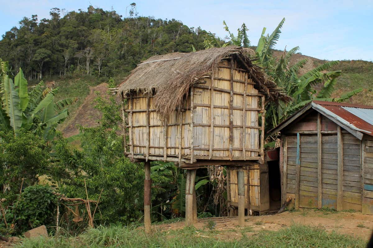  L le De Madagascar Sanctuaire D une Biodiversit Menac e