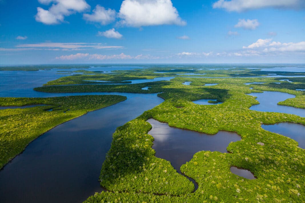 Le Parc National des Everglades en Floride : Guide Nature