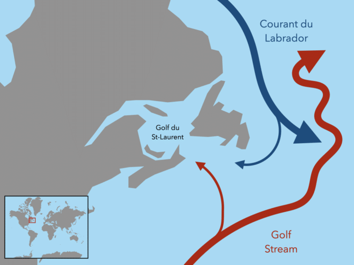 Courants Marins : Rôle, Formation et Impact sur le Climat